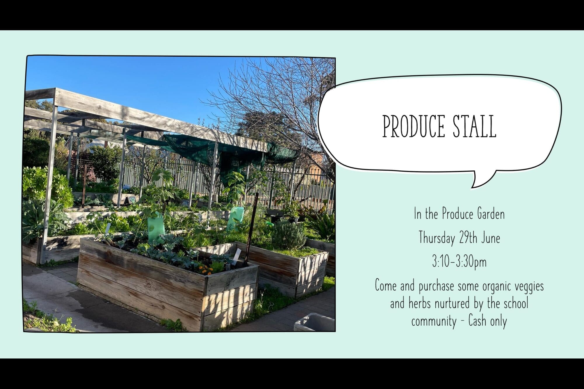 Produce Stall | Brighton Primary School & Centre of Deaf Education