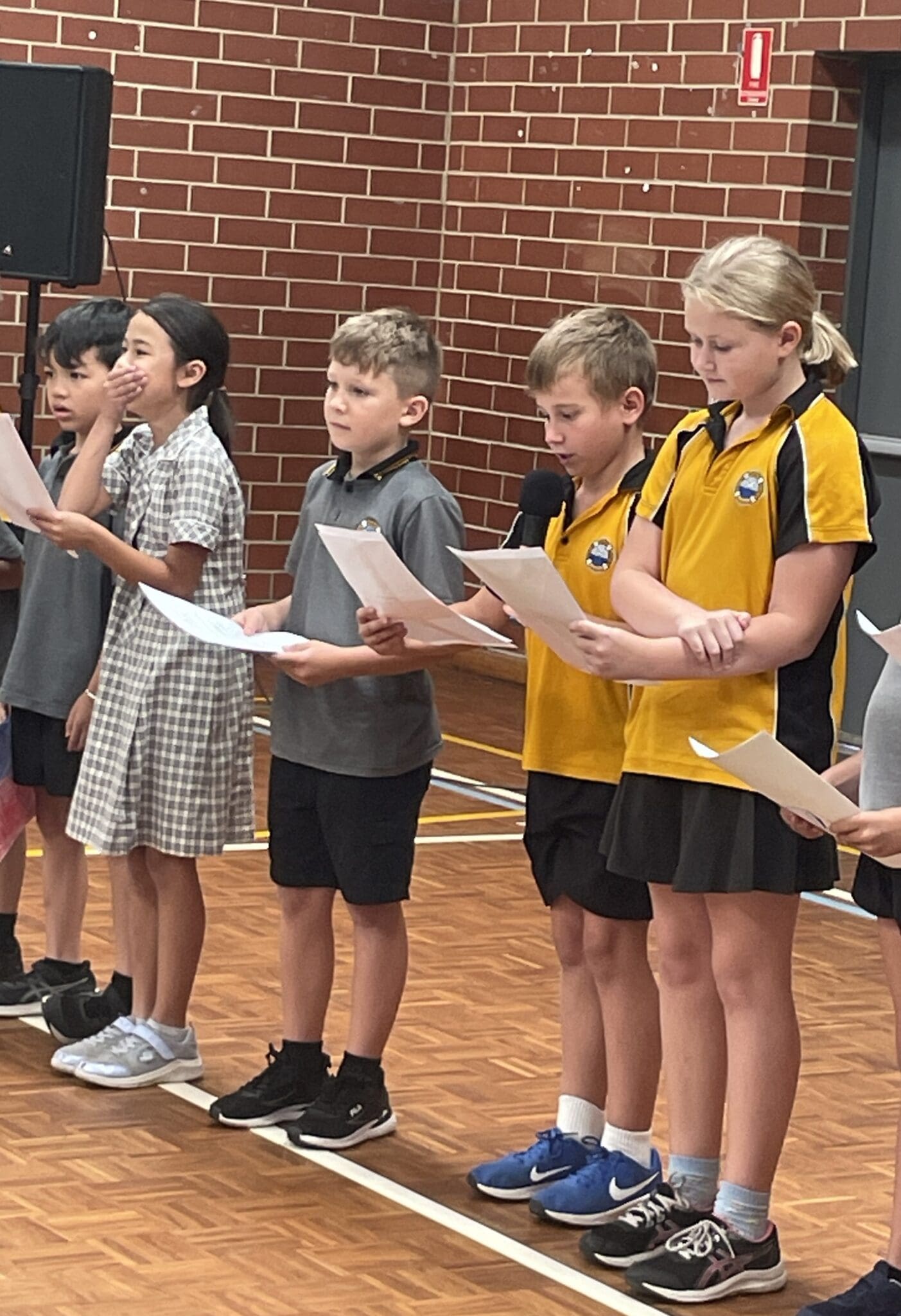 Yarlu Spotlight | Brighton Primary School & Centre of Deaf Education